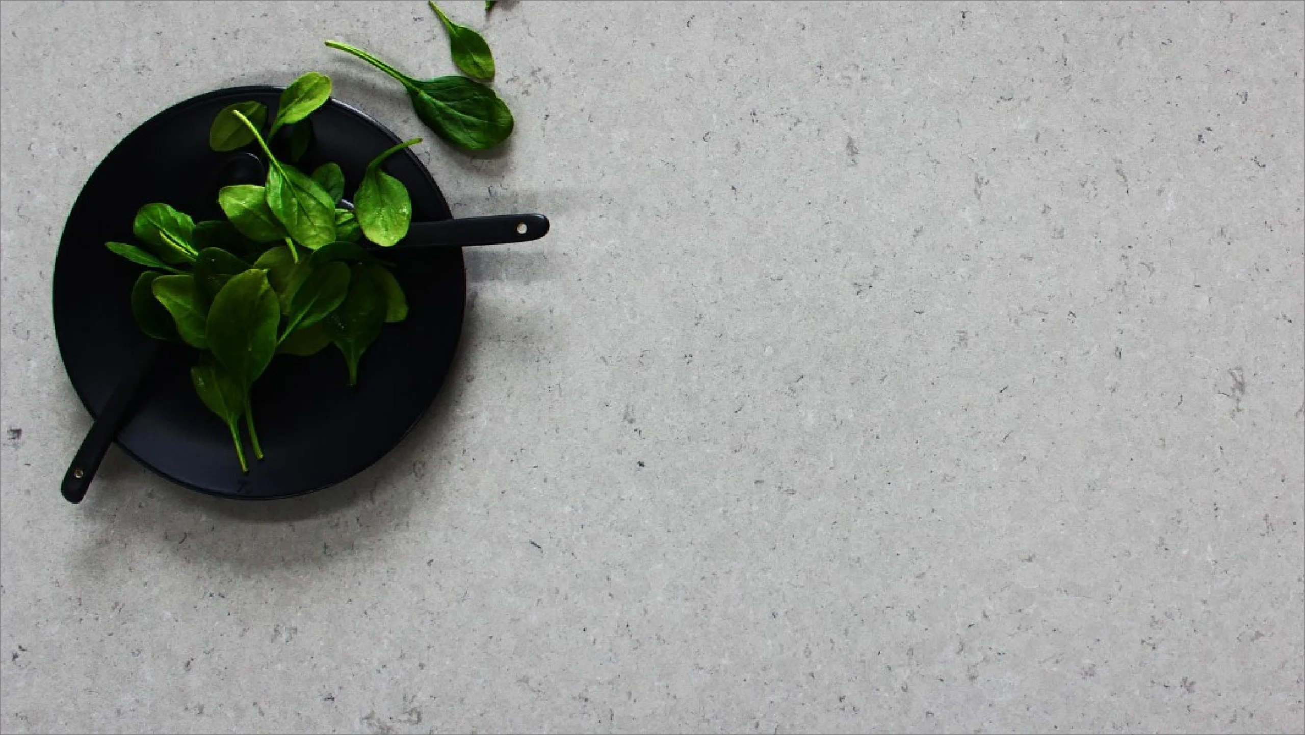 Fossil - Stone Ambassador AU