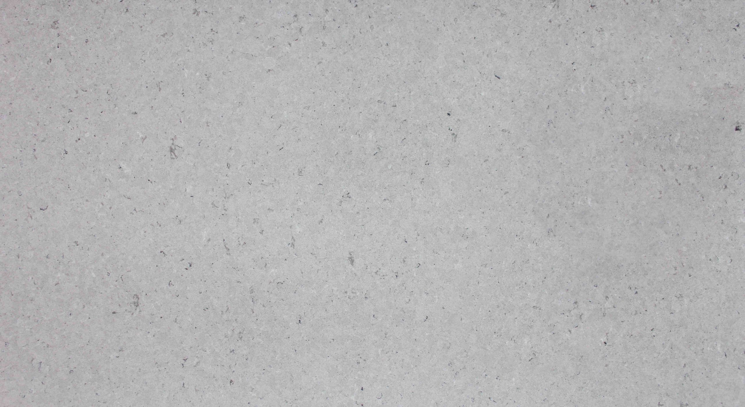 Fossil (D) - Stone Ambassador AU